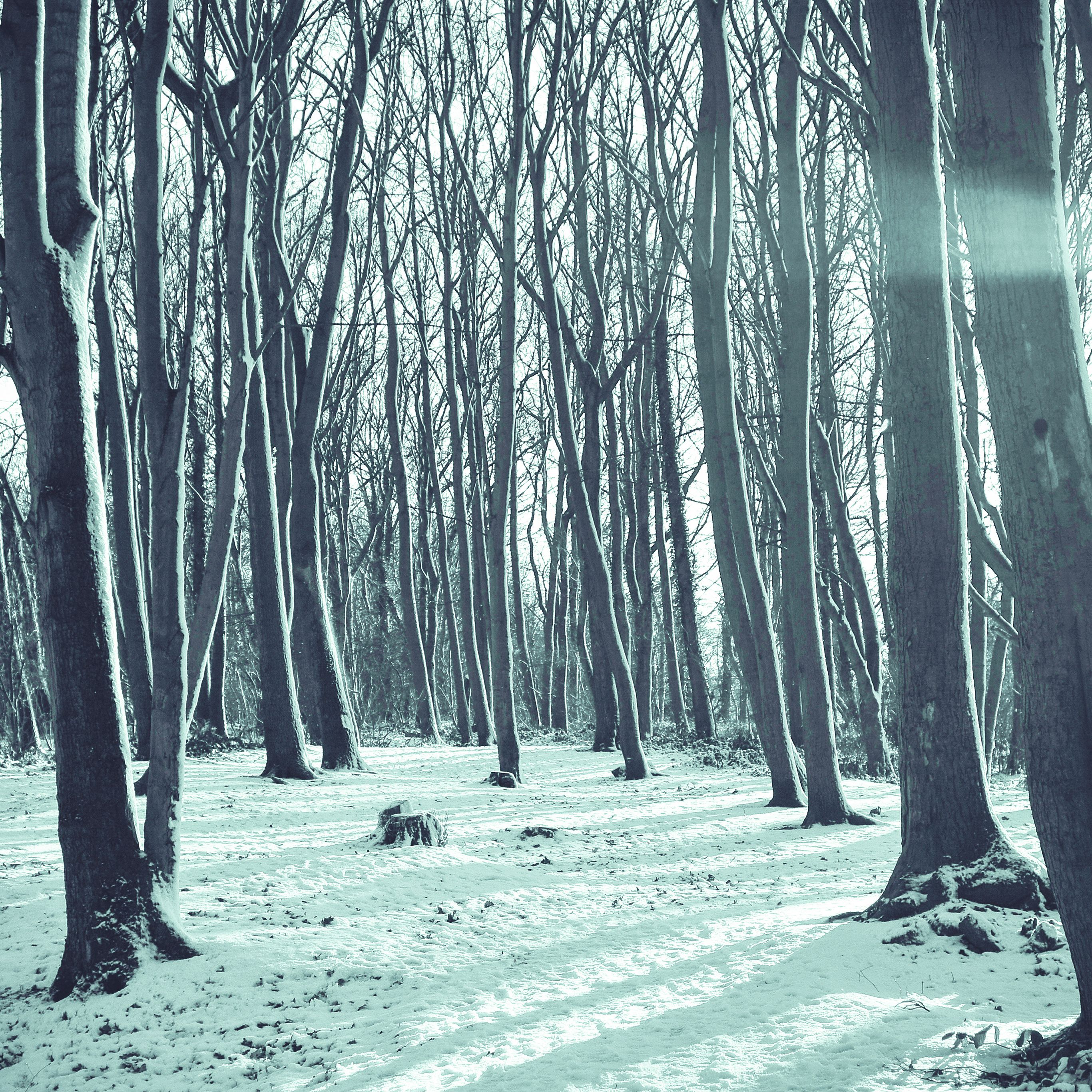 Hard Winter Wallpapers - Wallpaper Cave