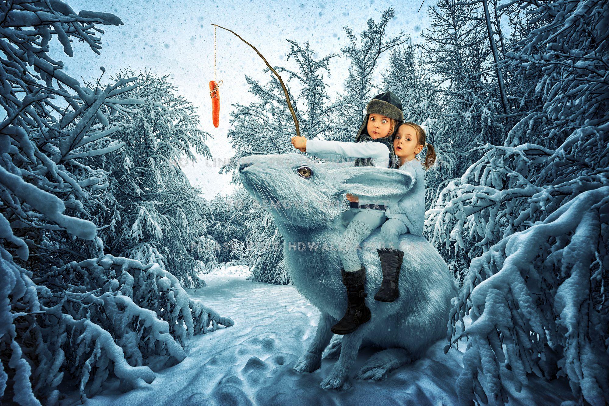 Winter Pose Wallpapers - Wallpaper Cave