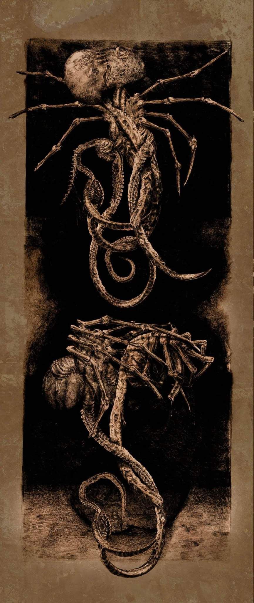 Facehugger Wallpapers - Wallpaper Cave