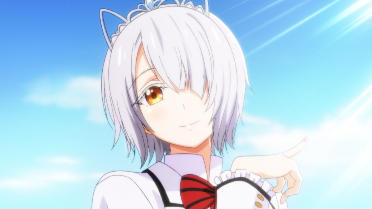 Chartreux Westia Wallpapers - Wallpaper Cave