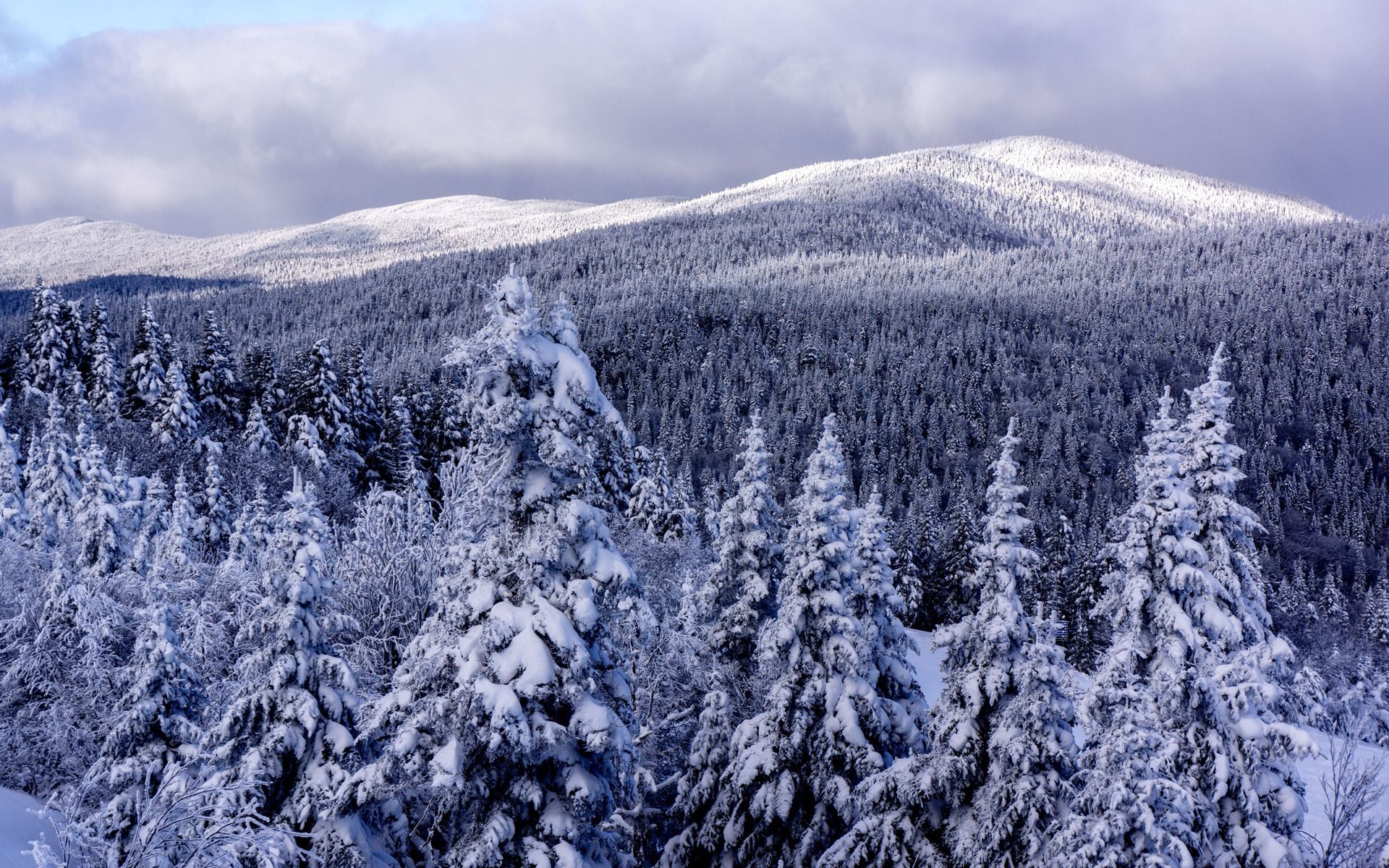 Earth Winter Wallpapers - Wallpaper Cave