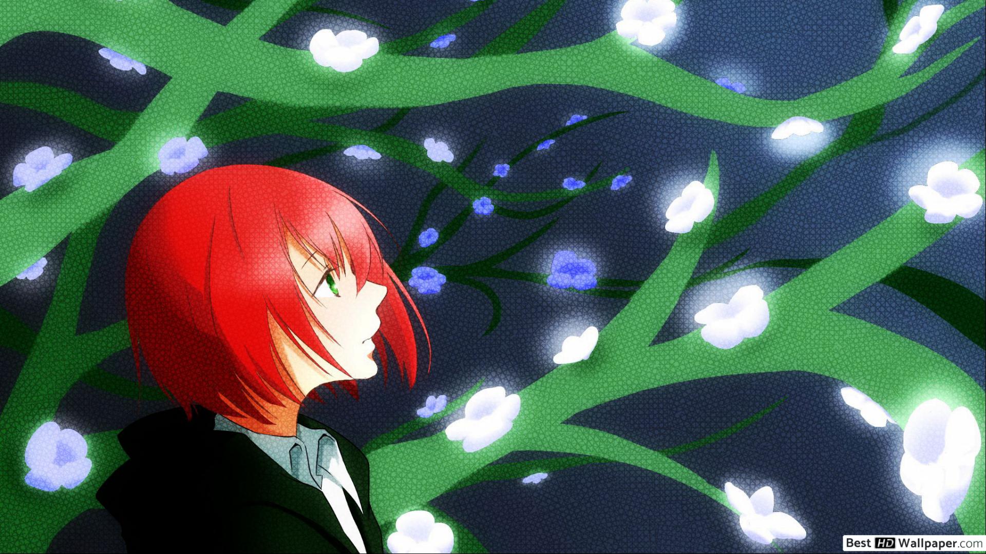 Chise Hatori Wallpapers - Wallpaper Cave