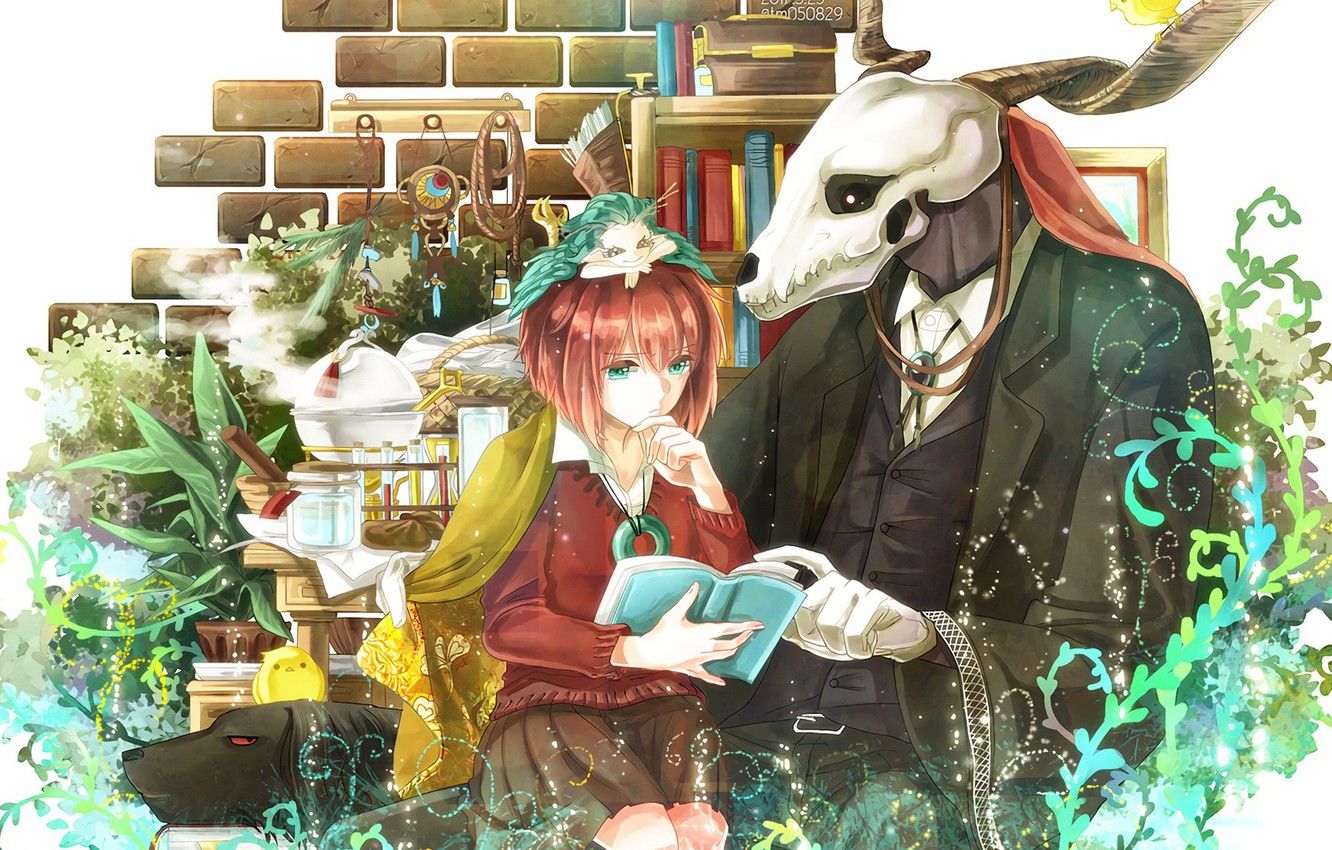 Chise Hatori Wallpapers - Wallpaper Cave