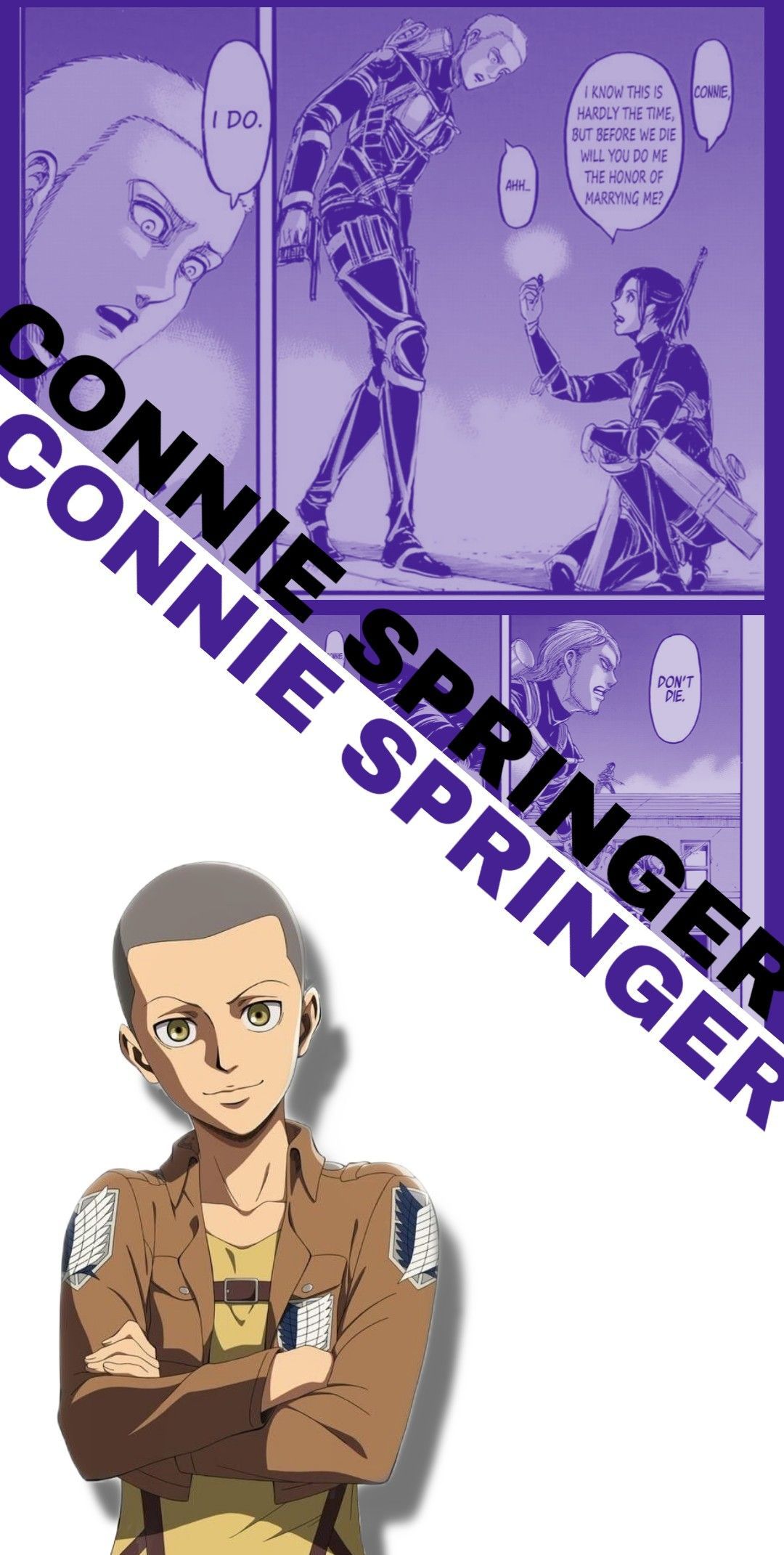 Connie Springer Wallpapers - Wallpaper Cave