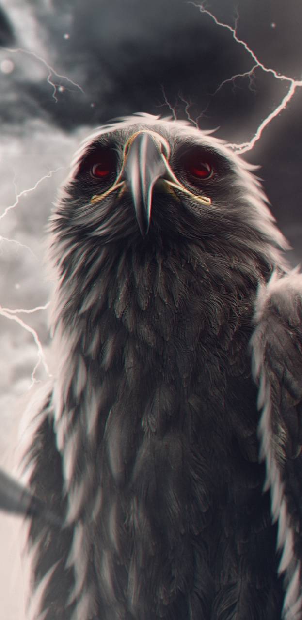 Golden Eagle Android Wallpapers - Wallpaper Cave