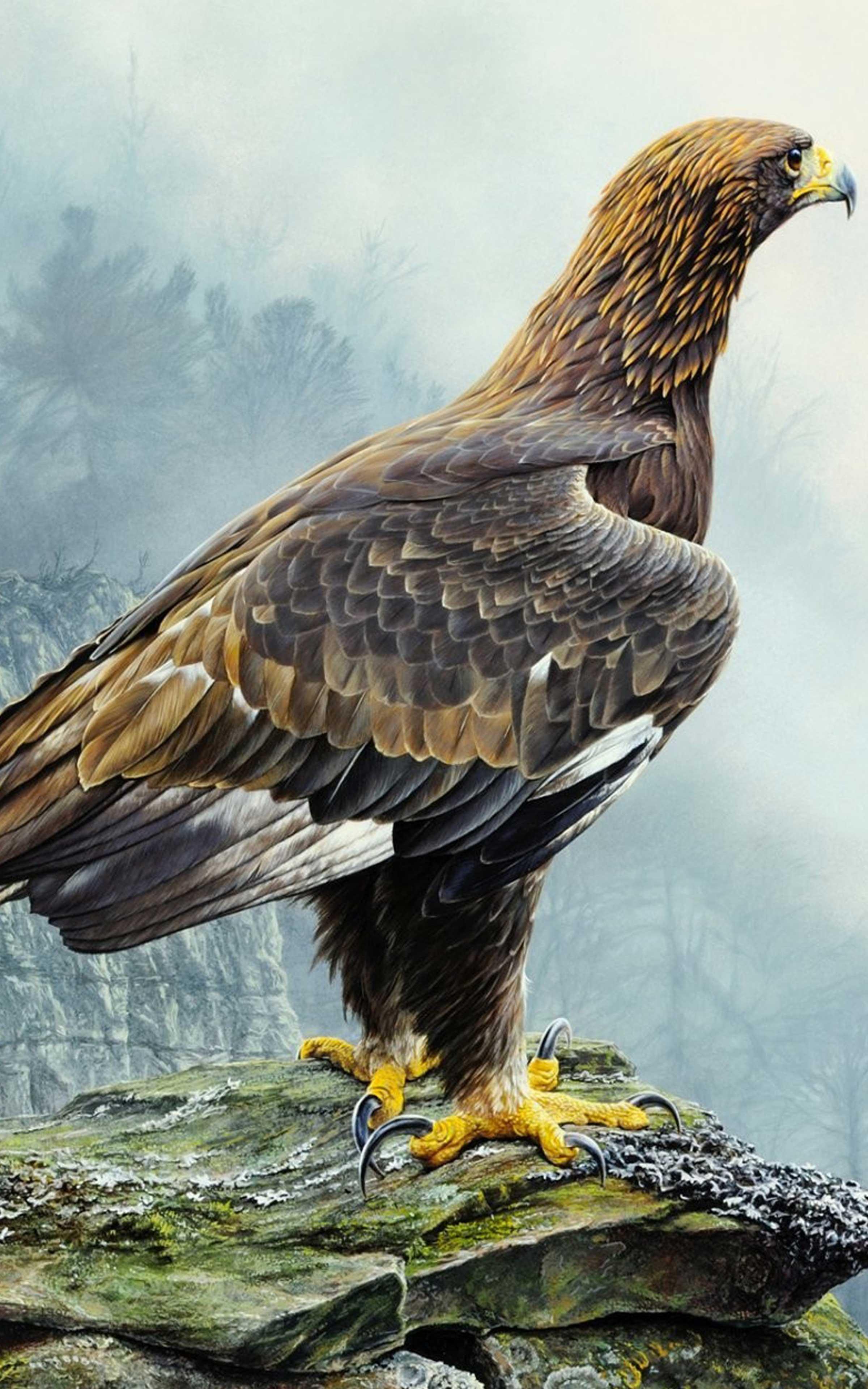 Golden Eagle Android Wallpapers - Wallpaper Cave