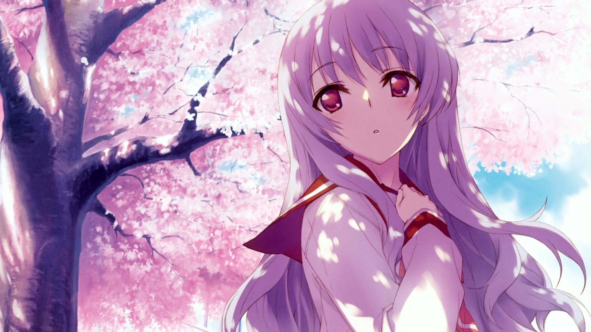 Tree Anime Pink Wallpapers - Wallpaper Cave