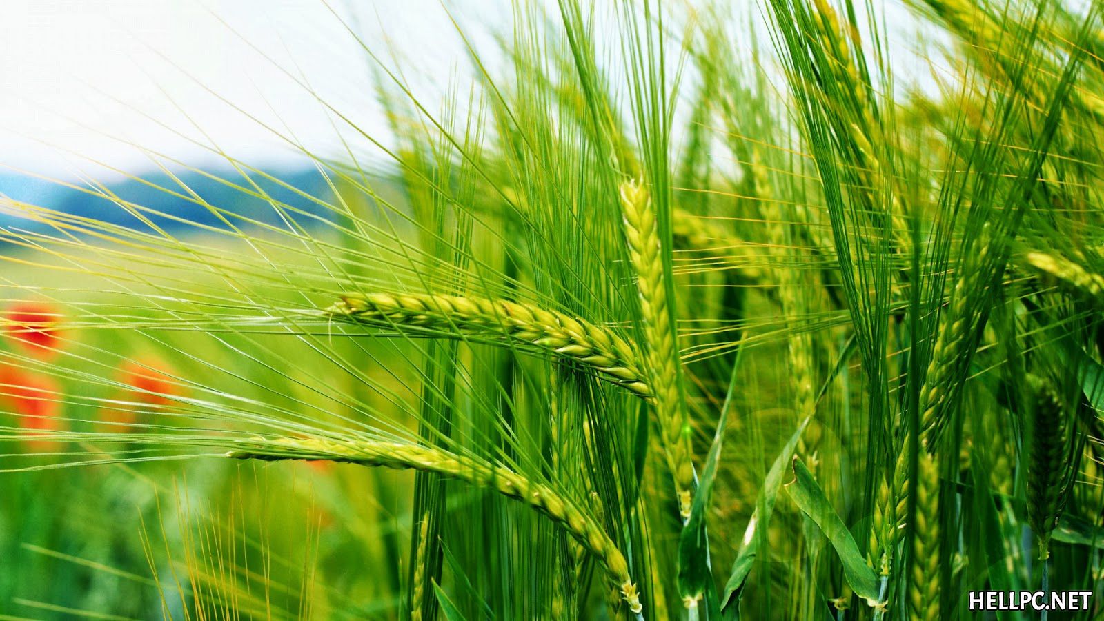 Save Nature Wallpapers - Wallpaper Cave