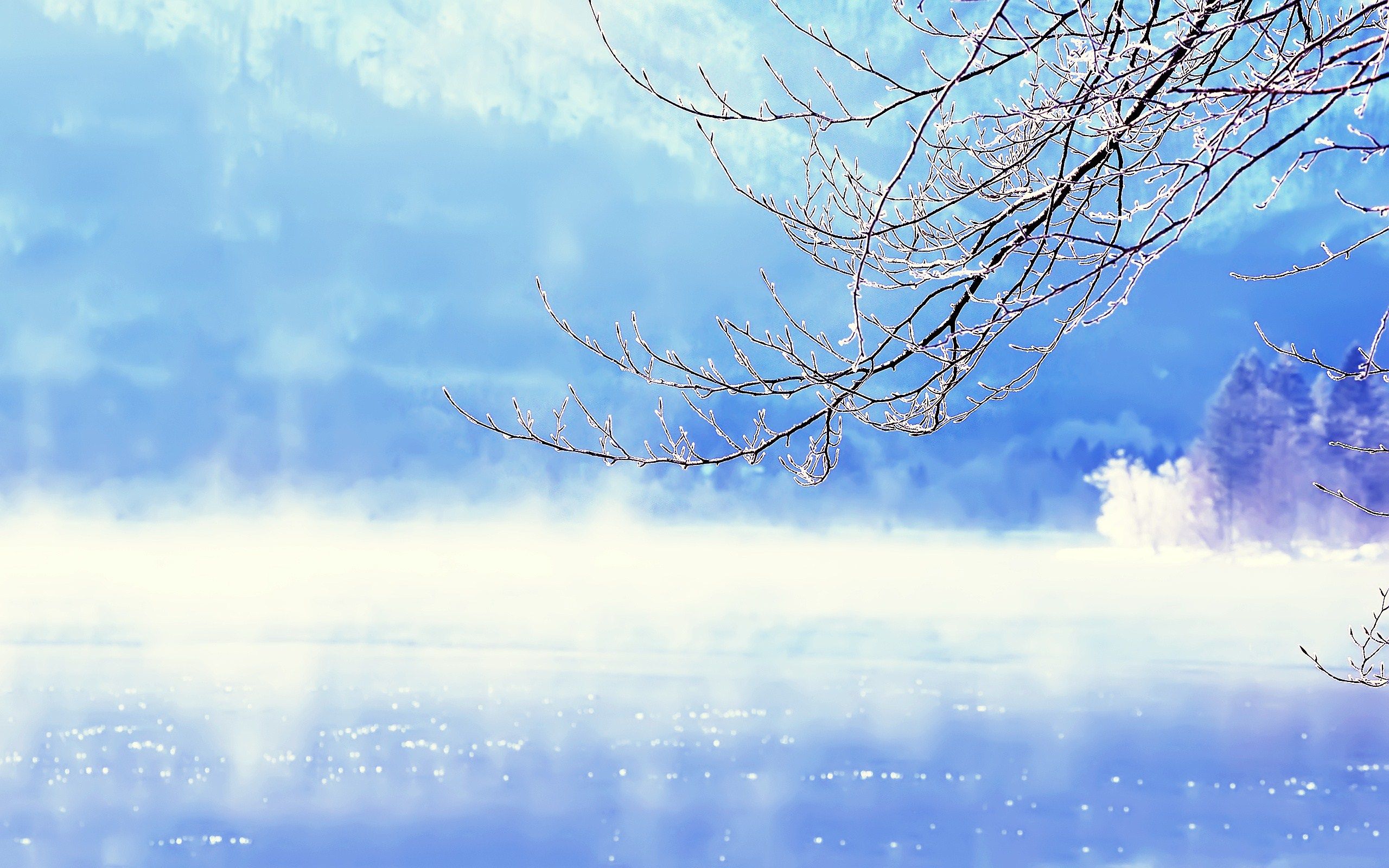 Winter Branches Wallpapers - Wallpaper Cave