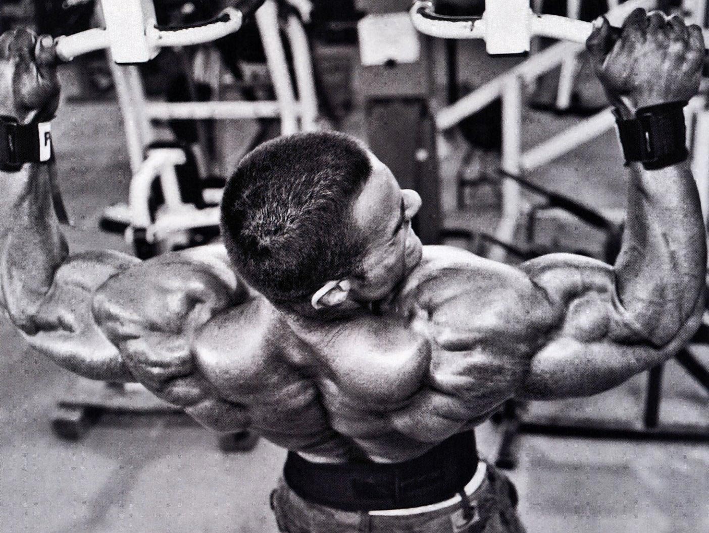 Pull-up Wallpapers - Wallpaper Cave