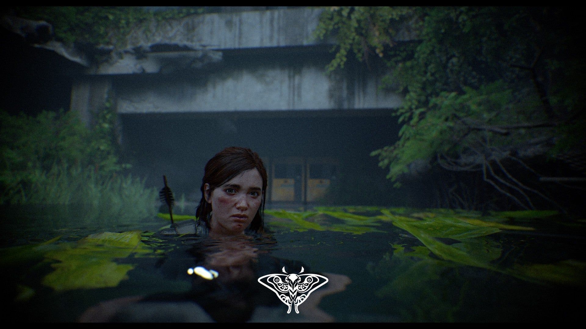 Ellie Williams Wallpapers - Wallpaper Cave