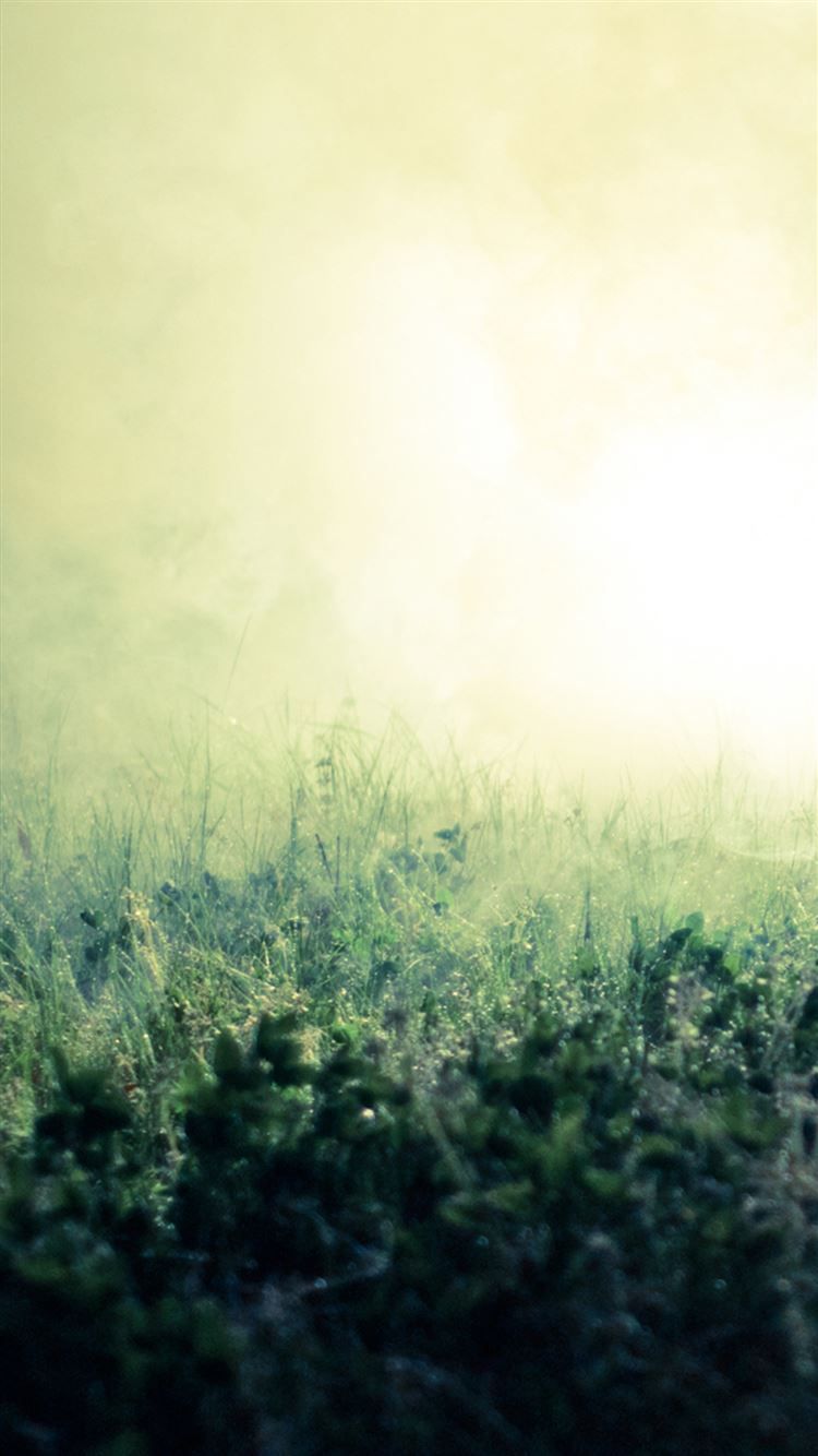 Pure HD iPhone Wallpapers - Wallpaper Cave