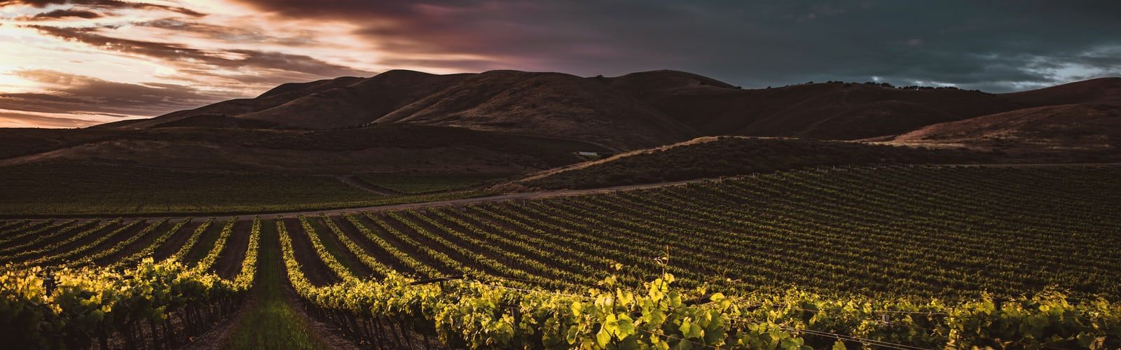 Napa Wallpapers - Wallpaper Cave