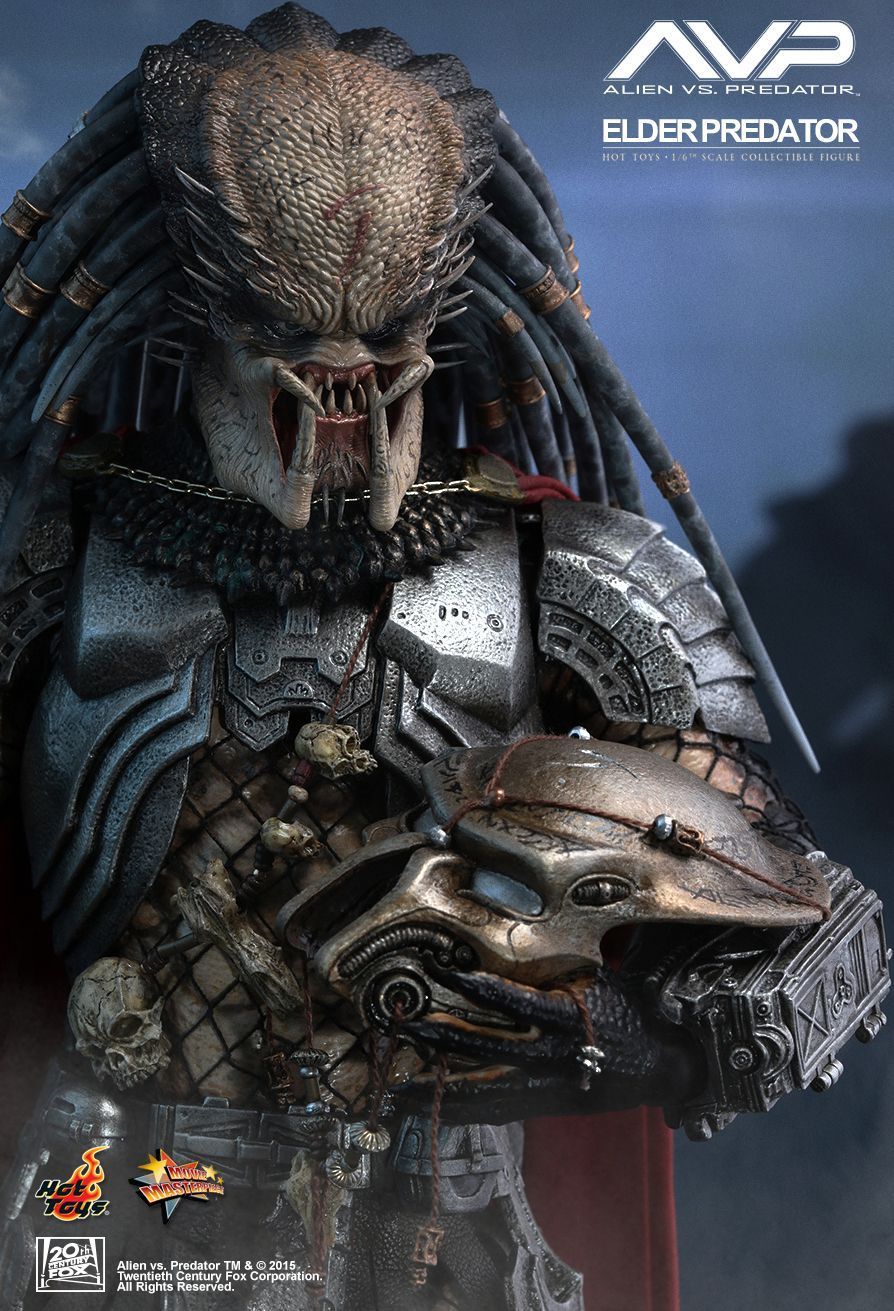 Elder Predator Wallpapers - Wallpaper Cave