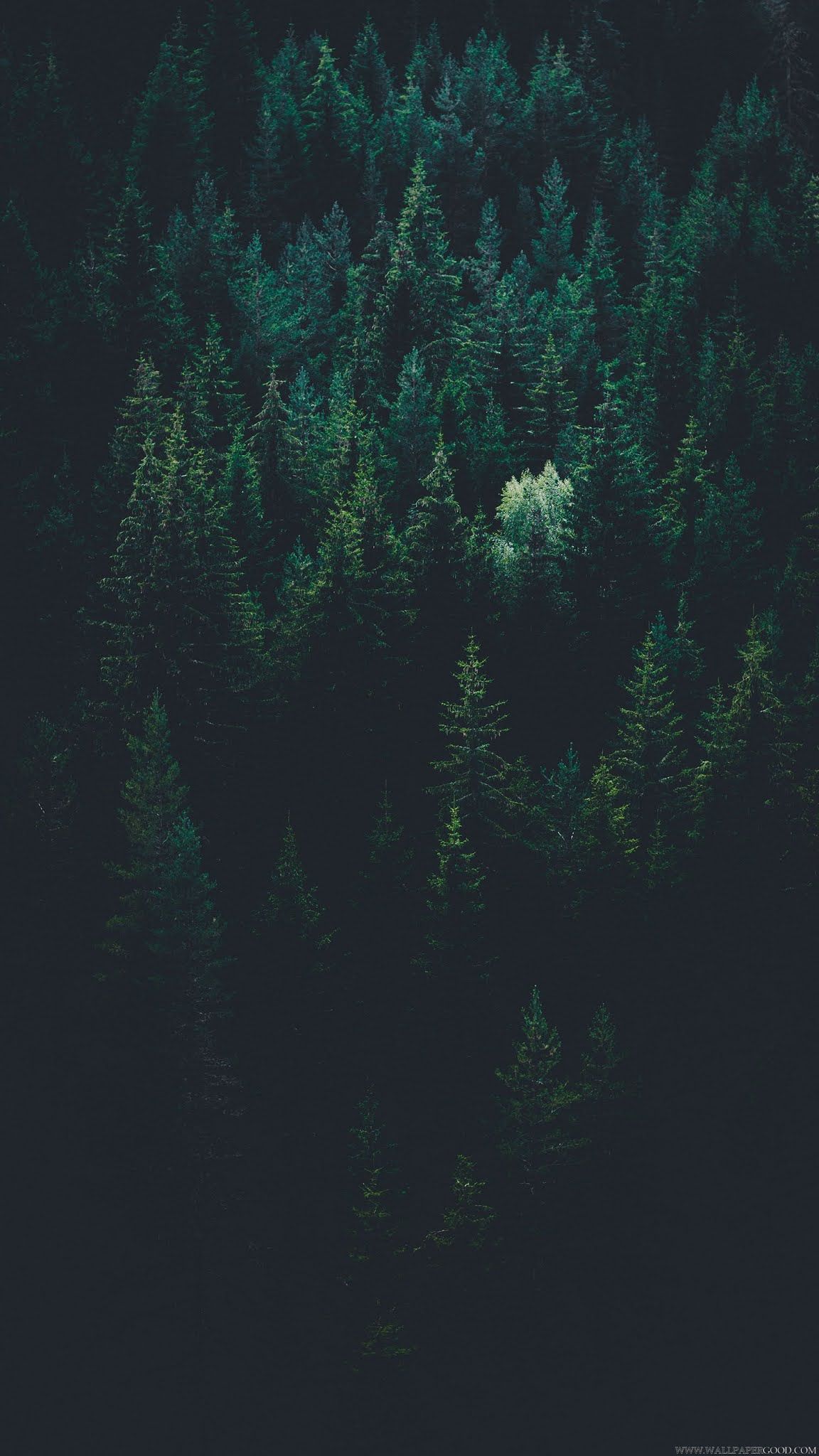 iOS Dark Wallpapers - Wallpaper Cave