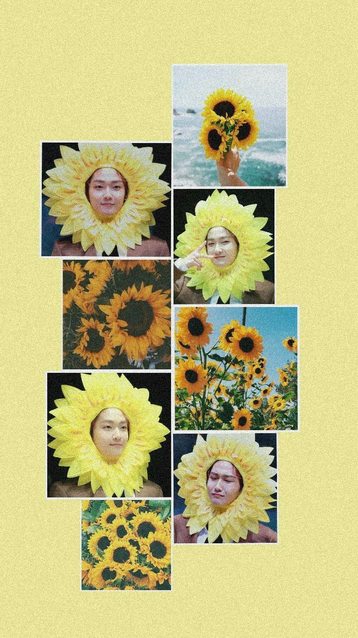 Kevin Moon Wallpapers - Wallpaper Cave