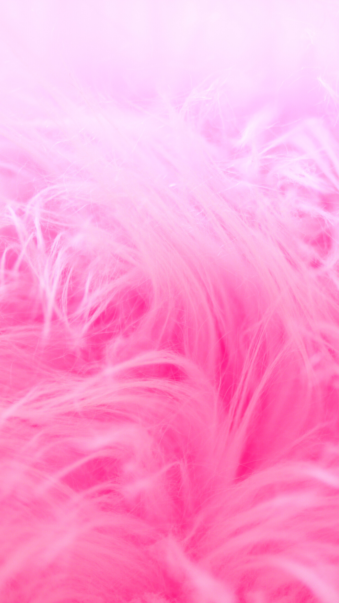 Fuzzy Wallpapers - Wallpaper Cave