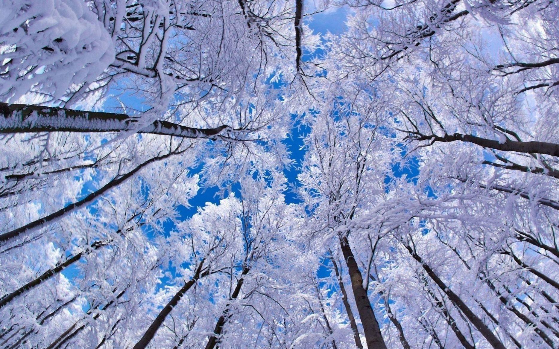 Unique Winter Wallpapers - Wallpaper Cave