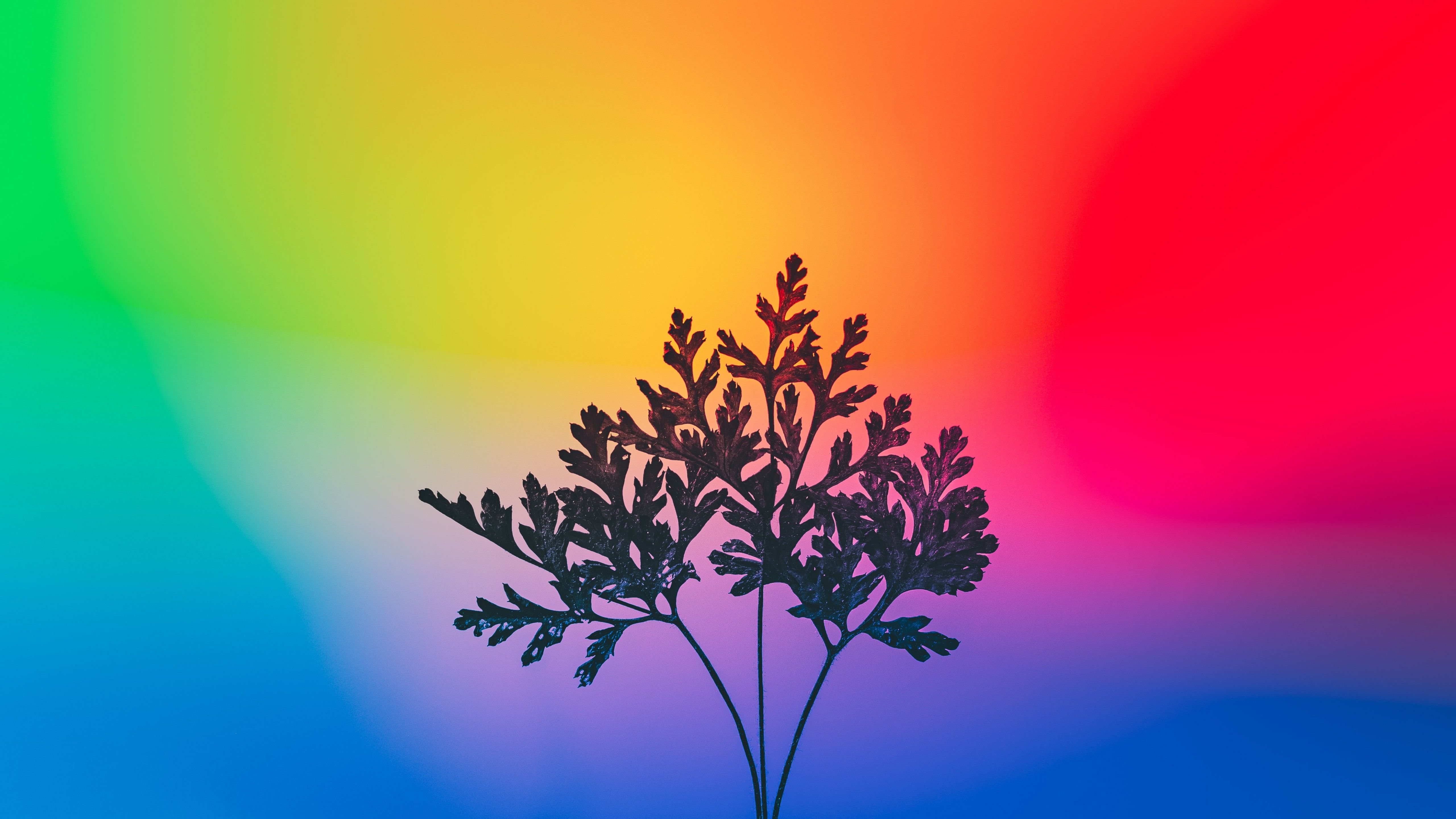 RGB 4k Wallpapers - Wallpaper Cave