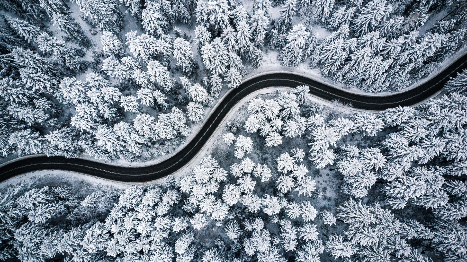 Winter Forest Aerial View Wallpapers - Wallpaper Cave