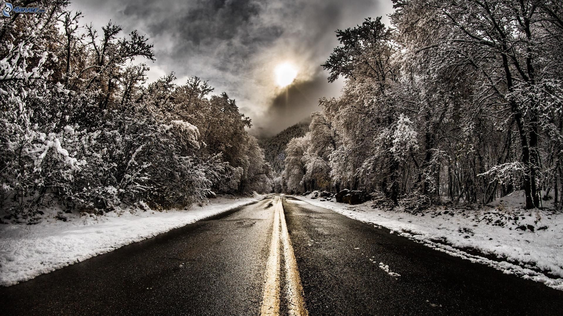 Snow Covered Forest Road Wallpapers - Wallpaper Cave