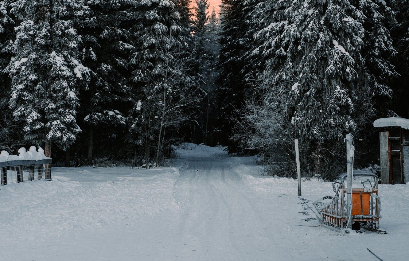 Snow Covered Forest Road Wallpapers - Wallpaper Cave