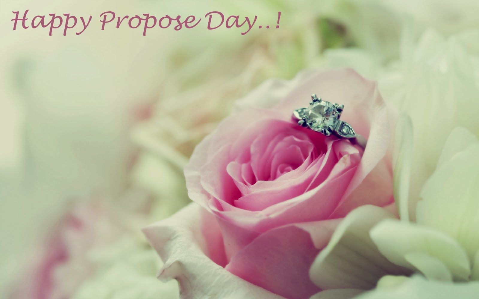 Rose Propose Wallpapers - Wallpaper Cave