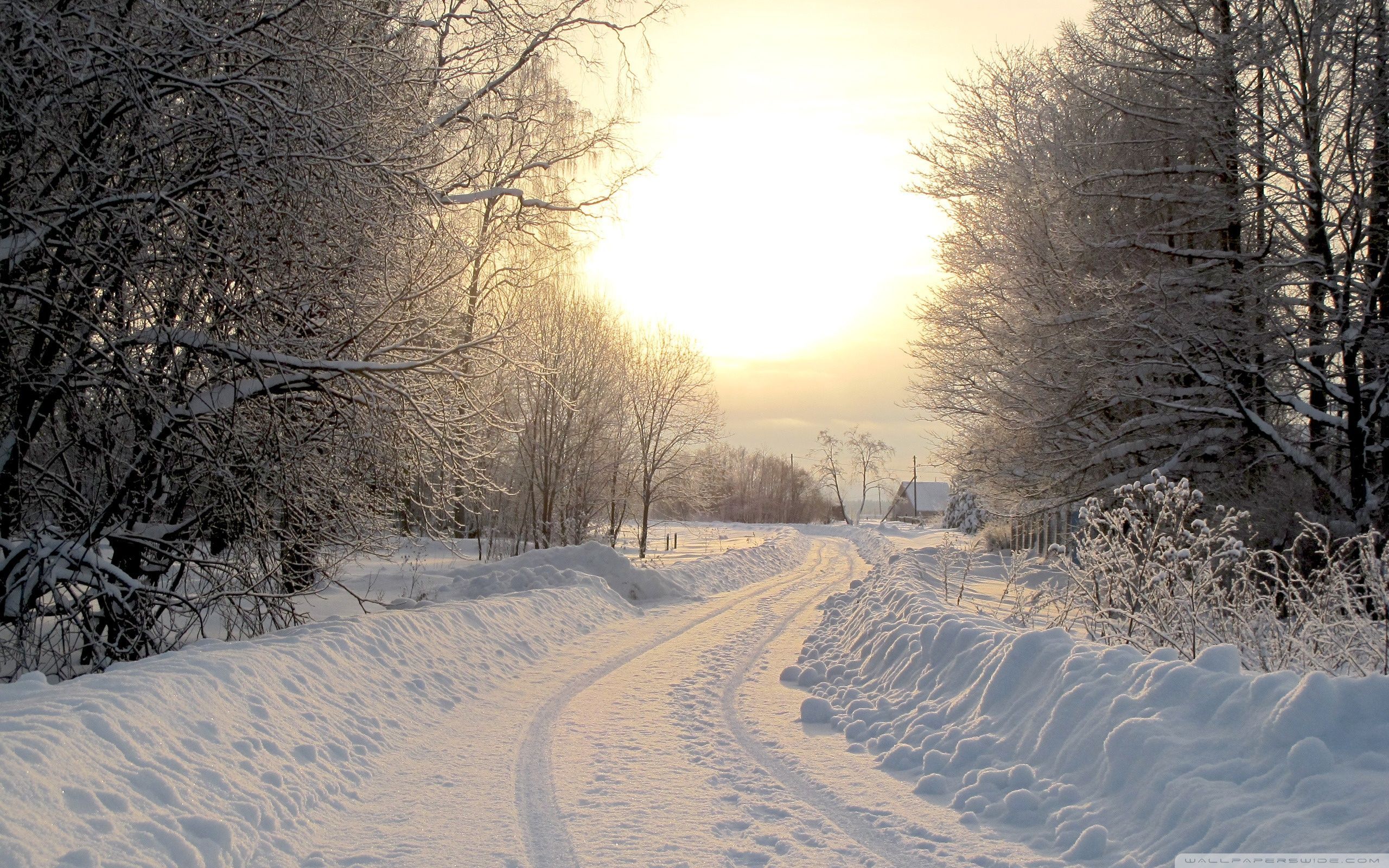 Winter Country Road Wallpapers - Wallpaper Cave