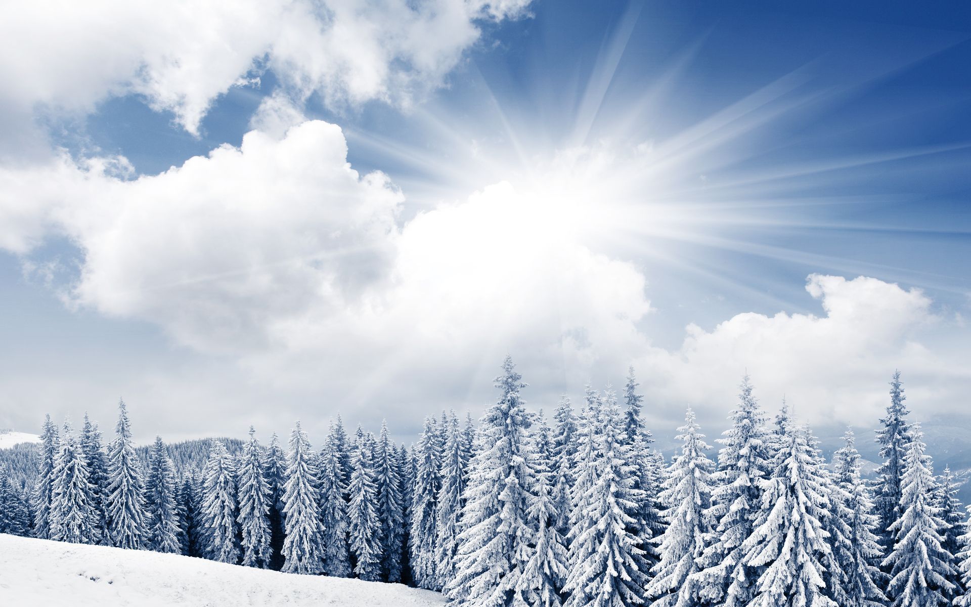 Sunny Day Winter Wallpapers - Wallpaper Cave