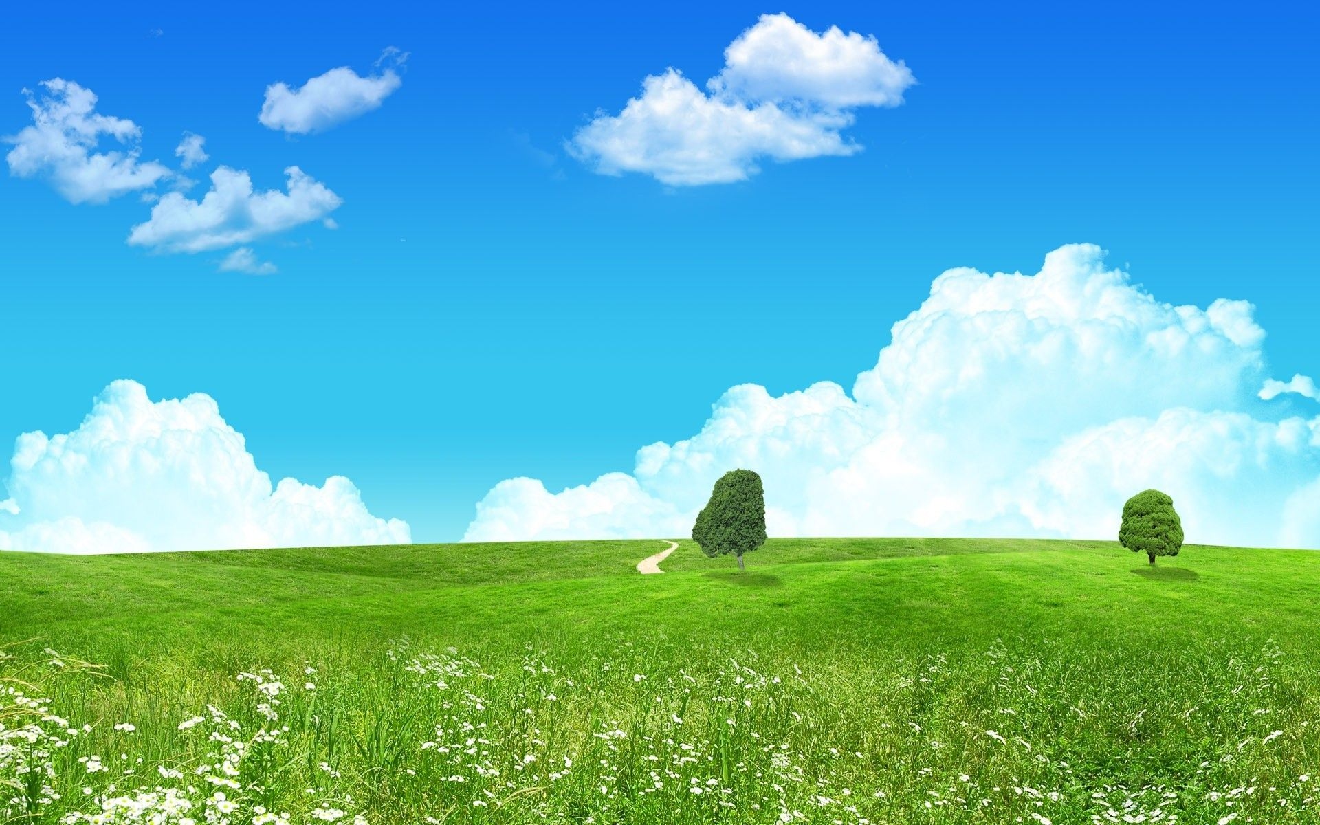 Anime Field Wallpapers - Wallpaper Cave
