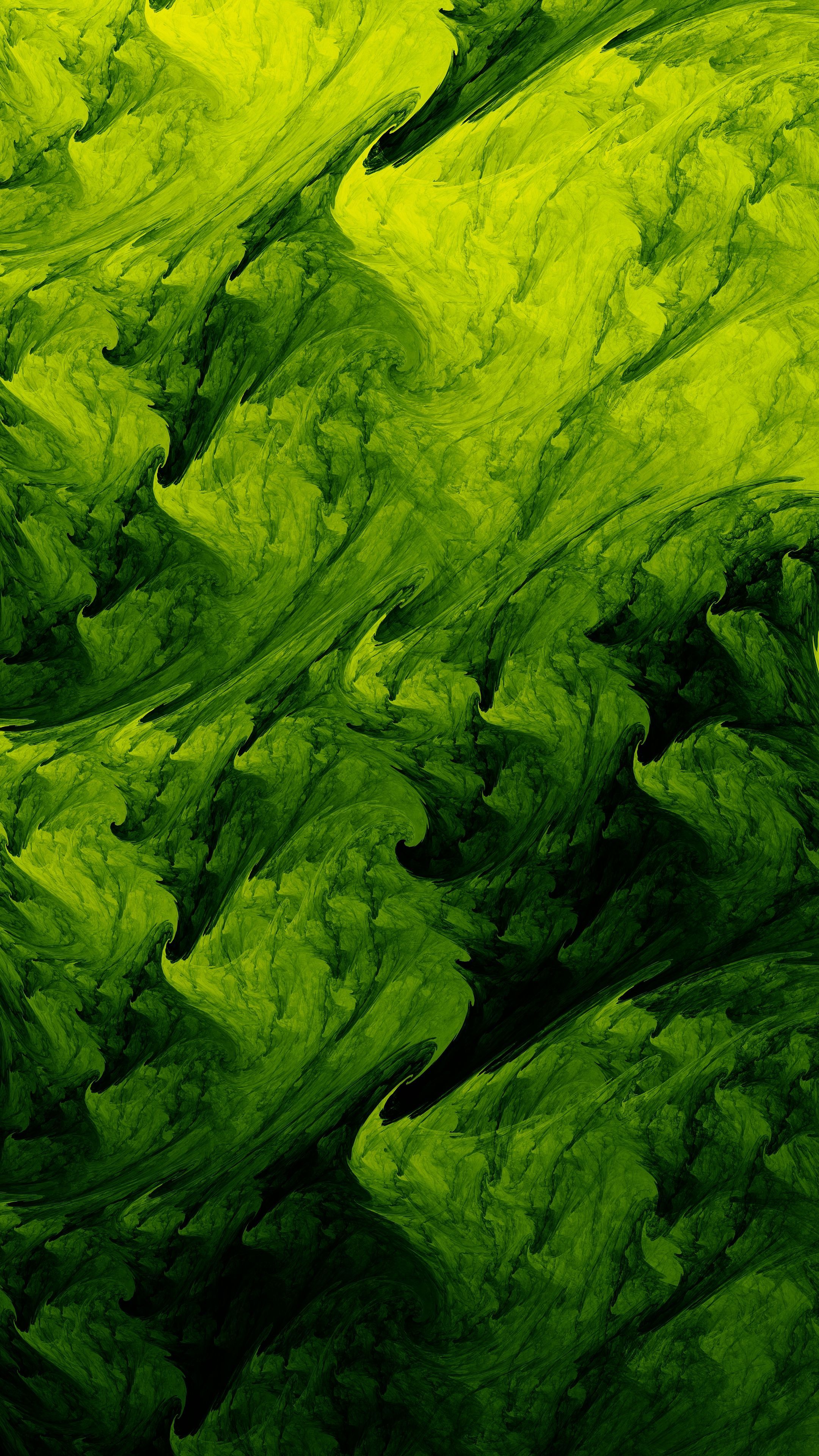 Algae Wallpapers - Wallpaper Cave