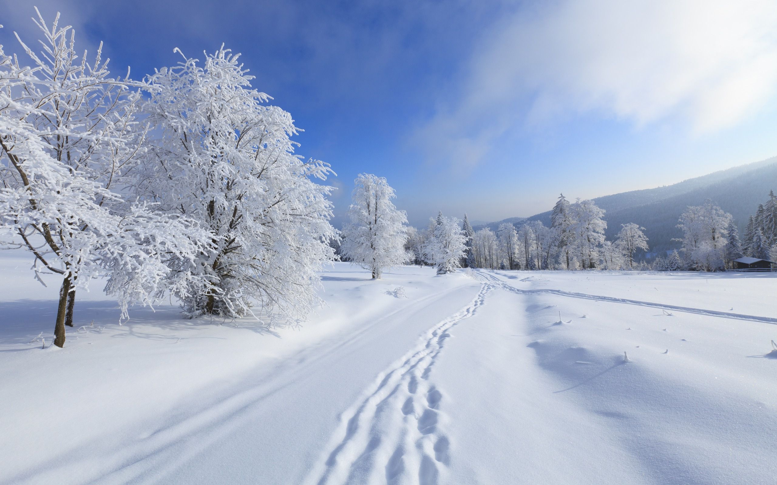 Quiet Winter Days Wallpapers - Wallpaper Cave