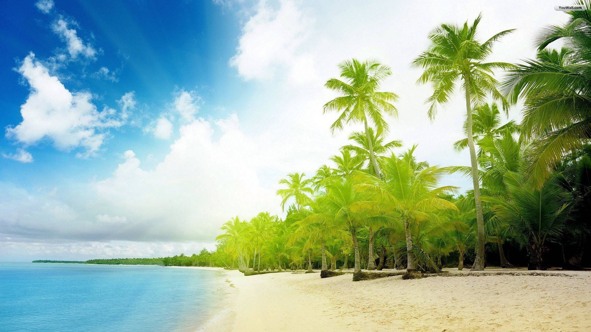 Beach Summertime Ultra Hd Wallpapers Wallpaper Cave