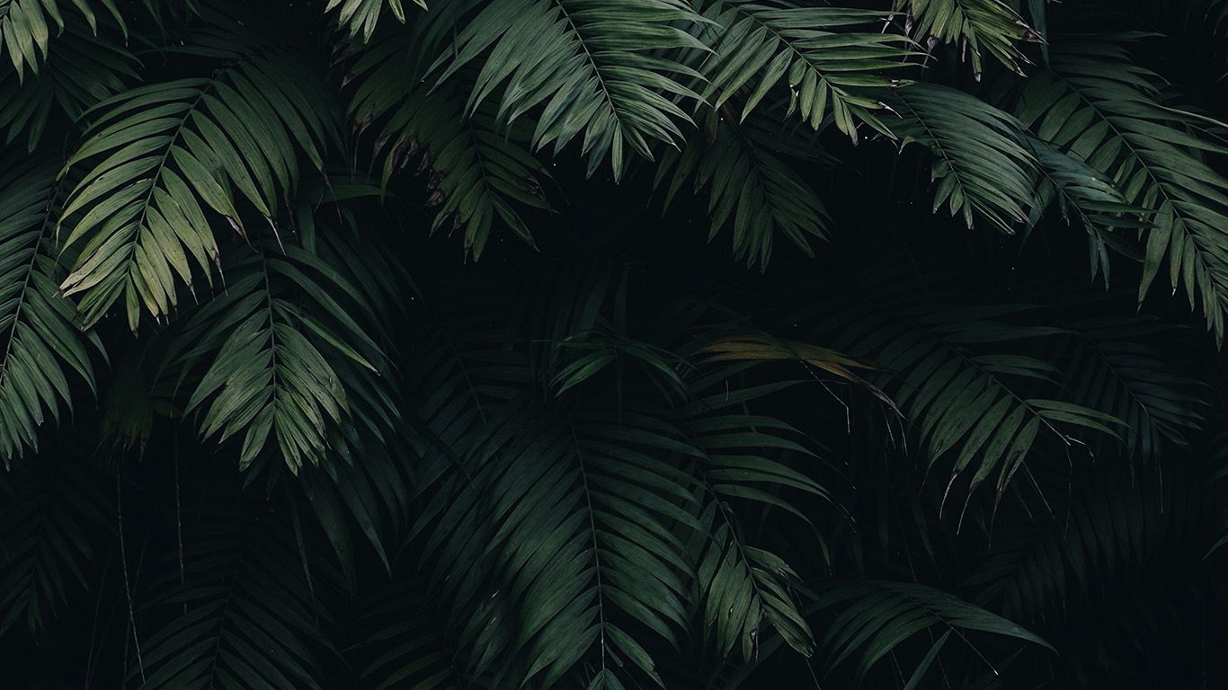 Desktop Green Nature Wallpapers - Wallpaper Cave