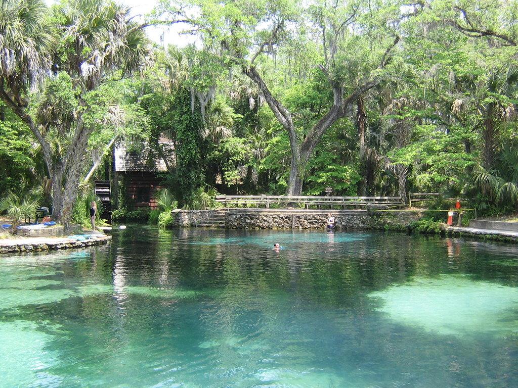 Juniper Springs Wallpapers - Wallpaper Cave