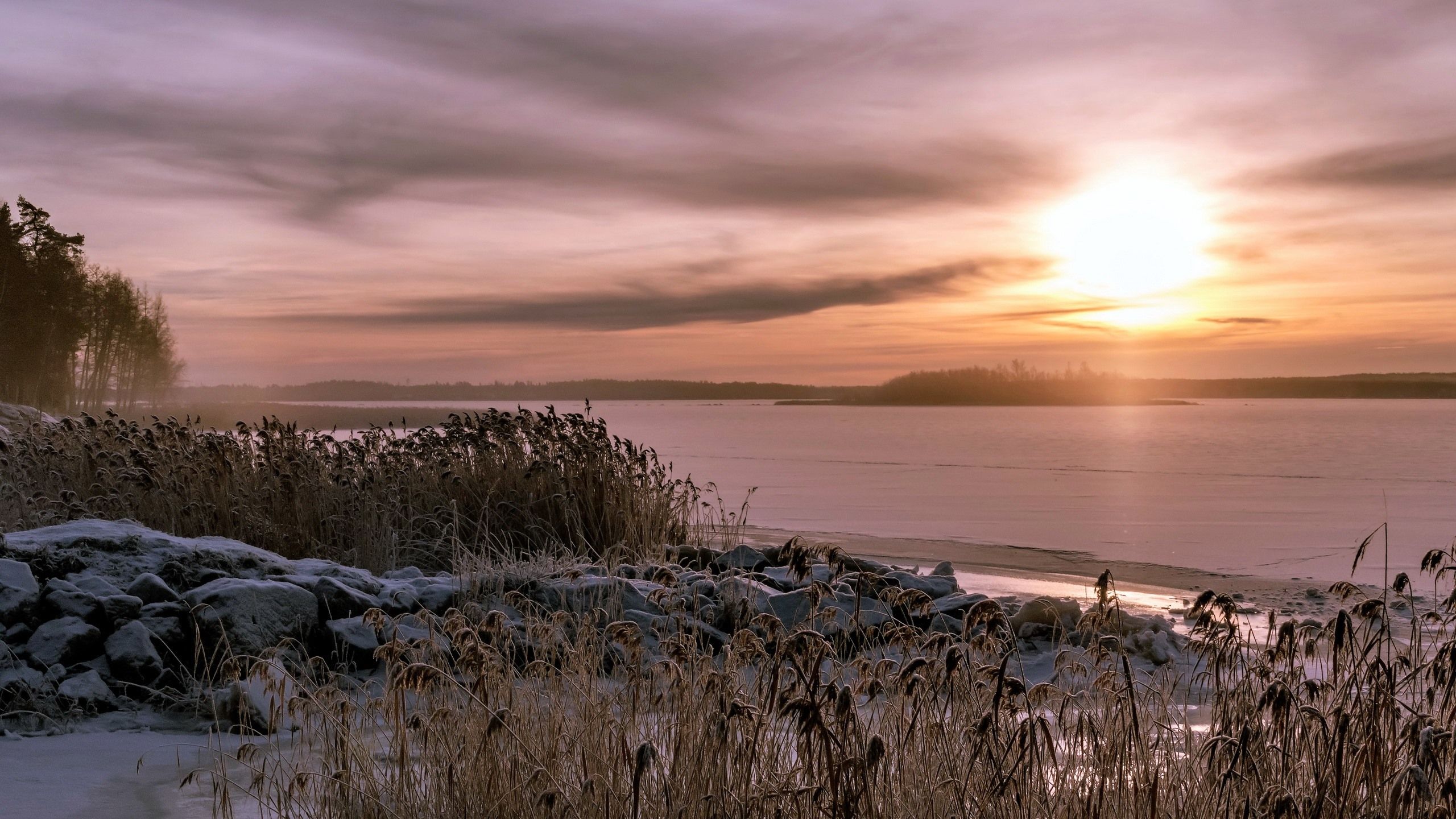 Winter Morning Grass Wallpapers - Wallpaper Cave