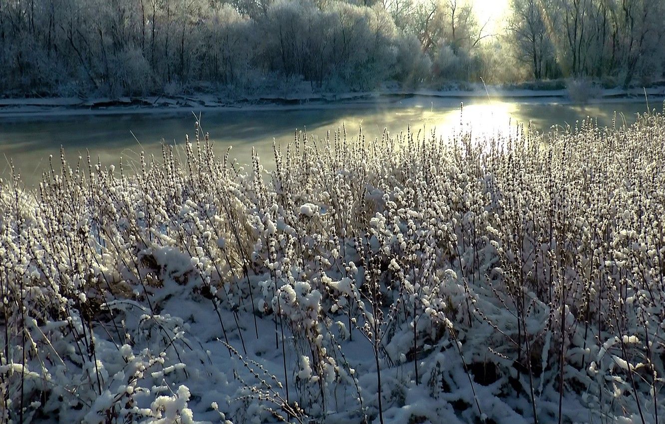 Winter Morning Grass Wallpapers - Wallpaper Cave
