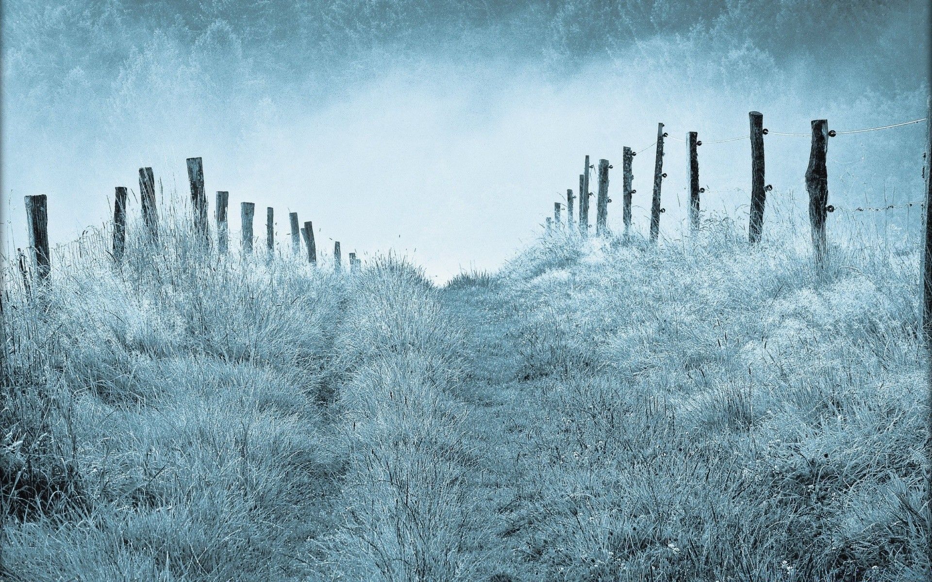 Winter Morning Grass Wallpapers - Wallpaper Cave
