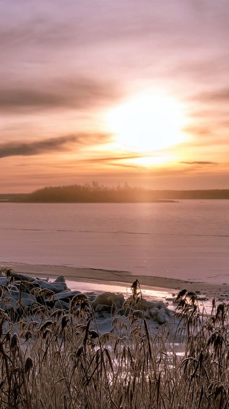 Winter Morning Grass Wallpapers - Wallpaper Cave