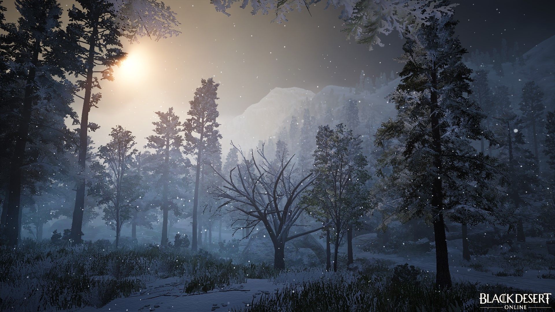 1920x1080 Winterscape Wallpapers - Wallpaper Cave