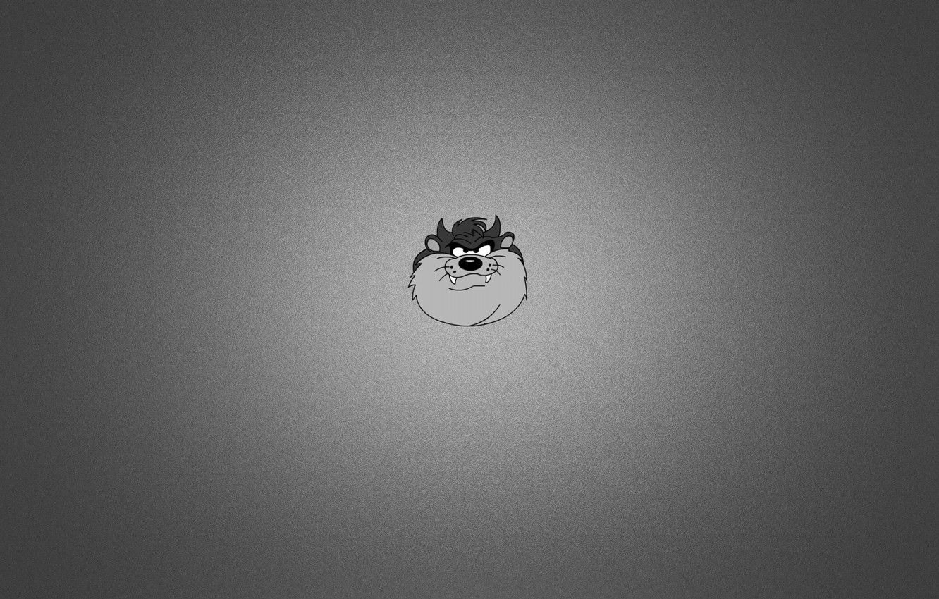 Taz-Mania Wallpapers - Wallpaper Cave