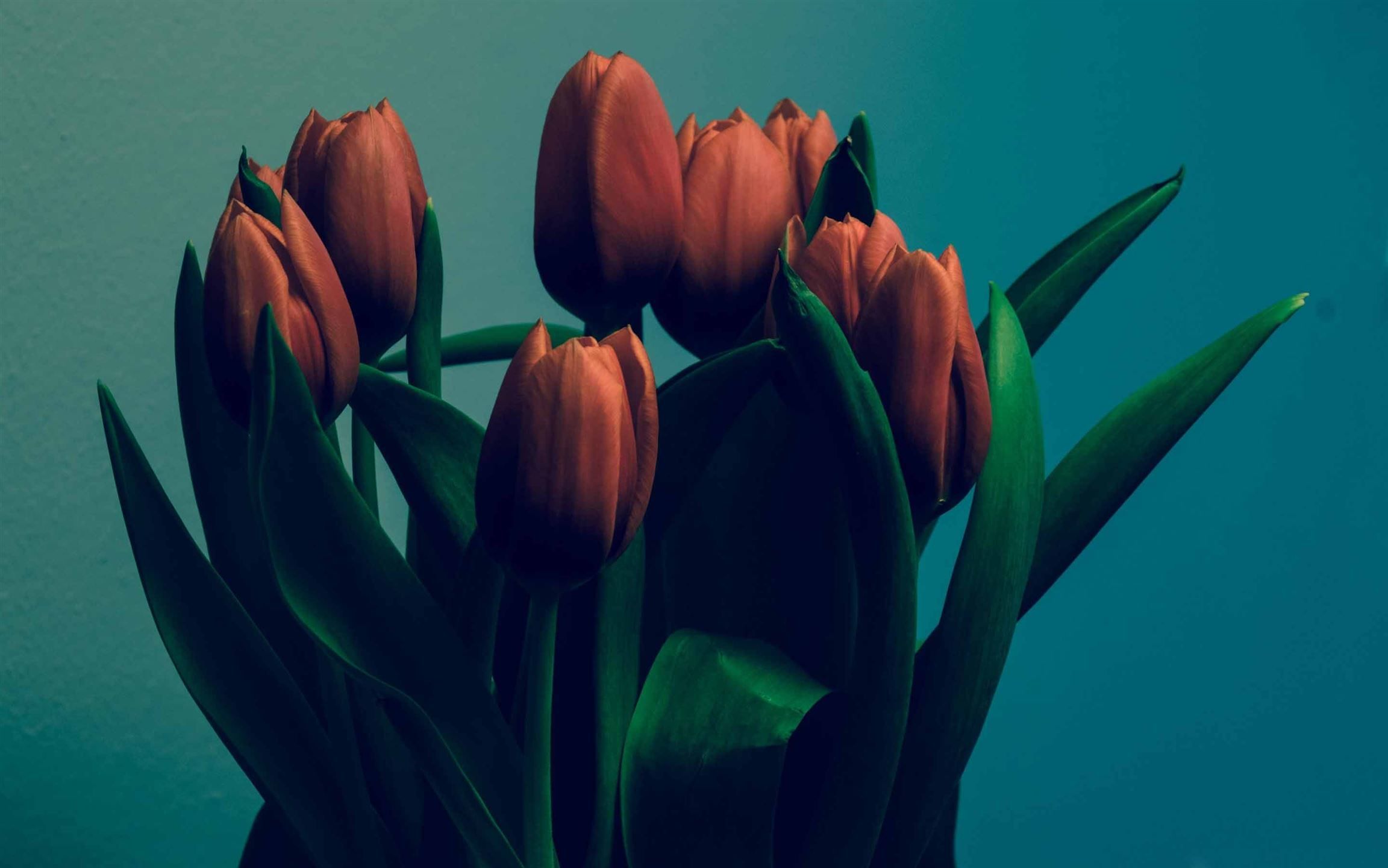 Vintage Spring 4k Wallpapers - Wallpaper Cave