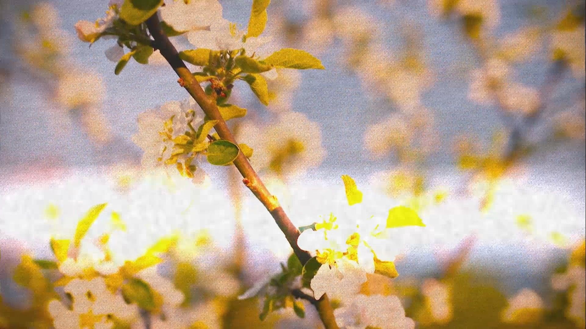 Spring Lofi Wallpapers - Wallpaper Cave