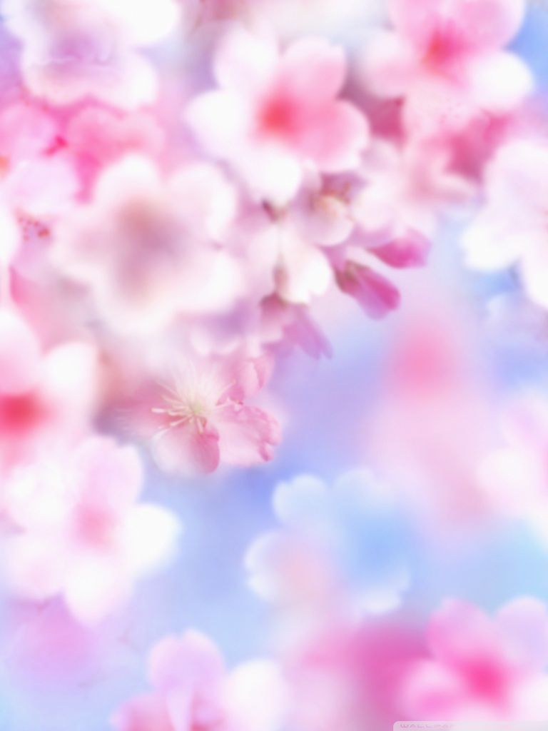 Pink Mobile Wallpapers - Wallpaper Cave