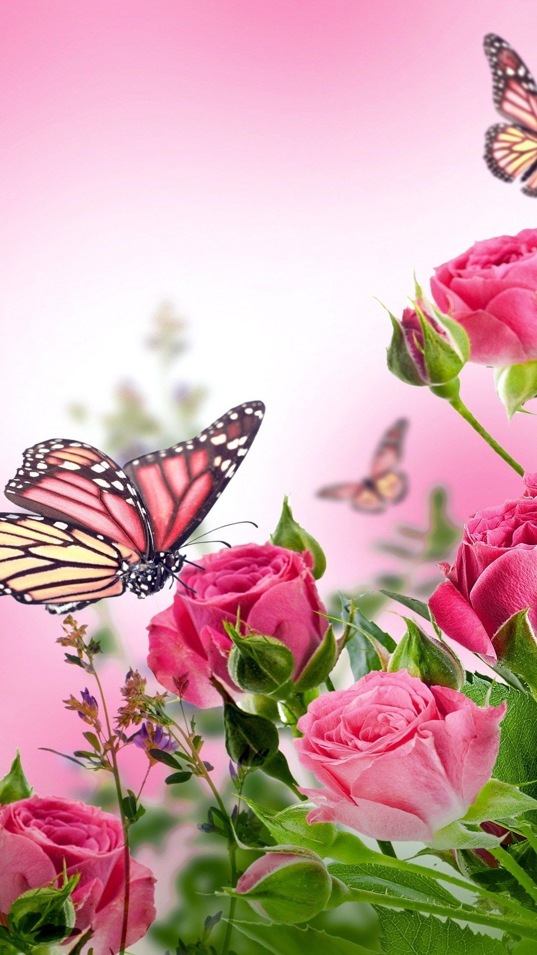 Pink Mobile Wallpapers Wallpaper Cave