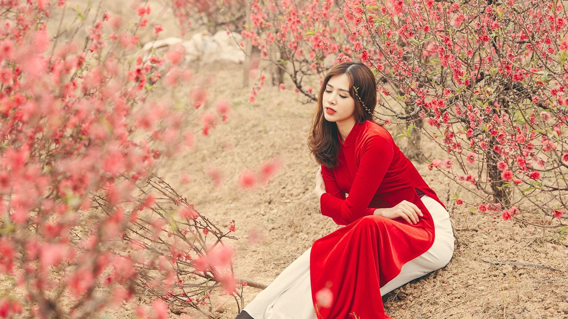 Chinese Spring Wallpapers - Wallpaper Cave