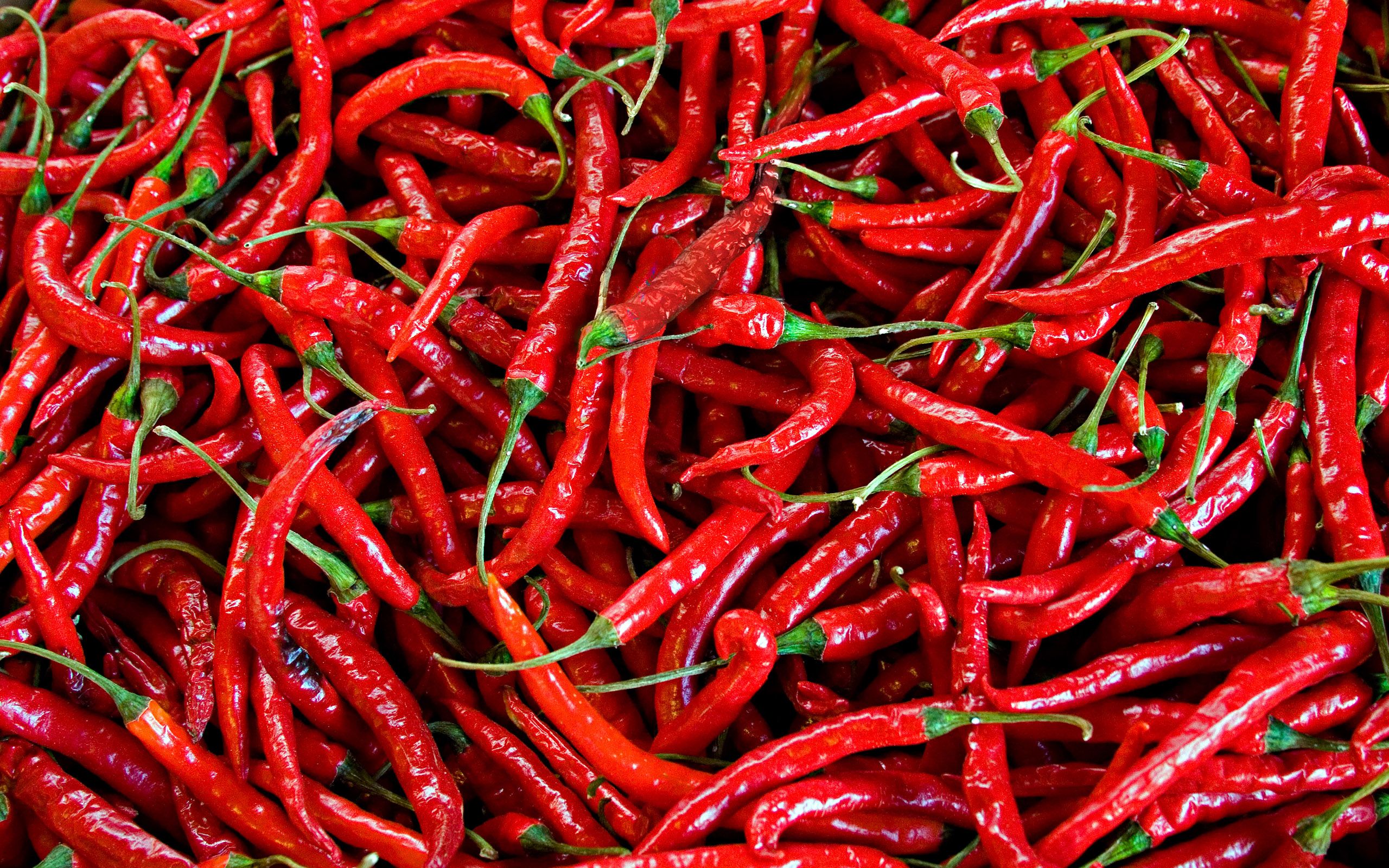 Red Chilli Wallpapers - Wallpaper Cave