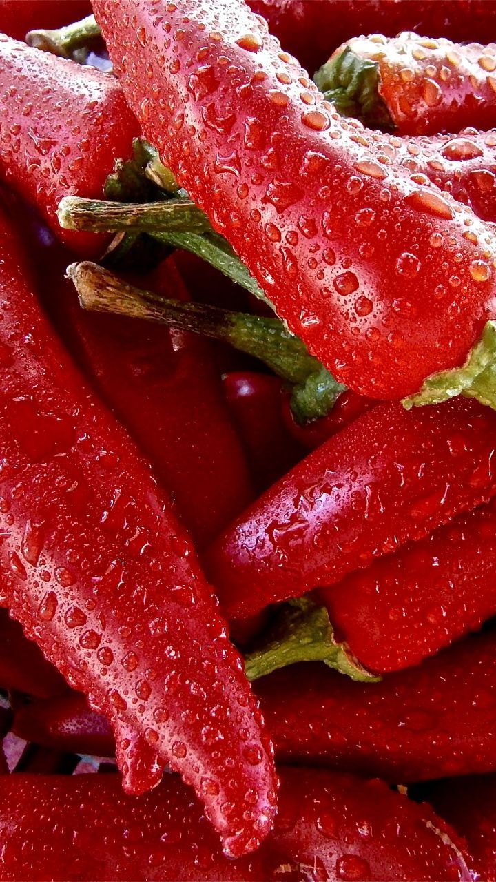 Red Chilli Wallpapers - Wallpaper Cave