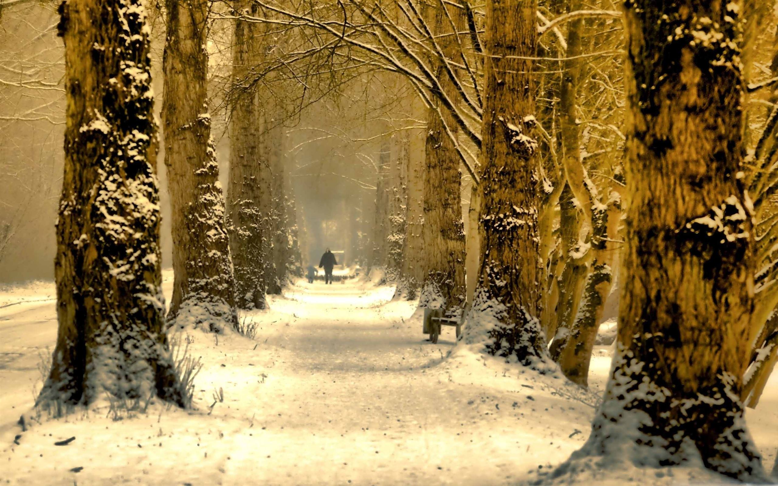 Winter Alley Wallpapers - Wallpaper Cave