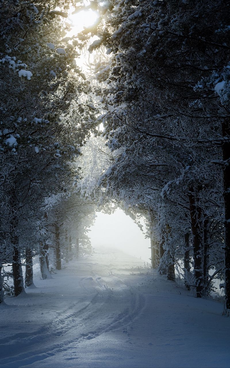 Winter Alley Wallpapers - Wallpaper Cave
